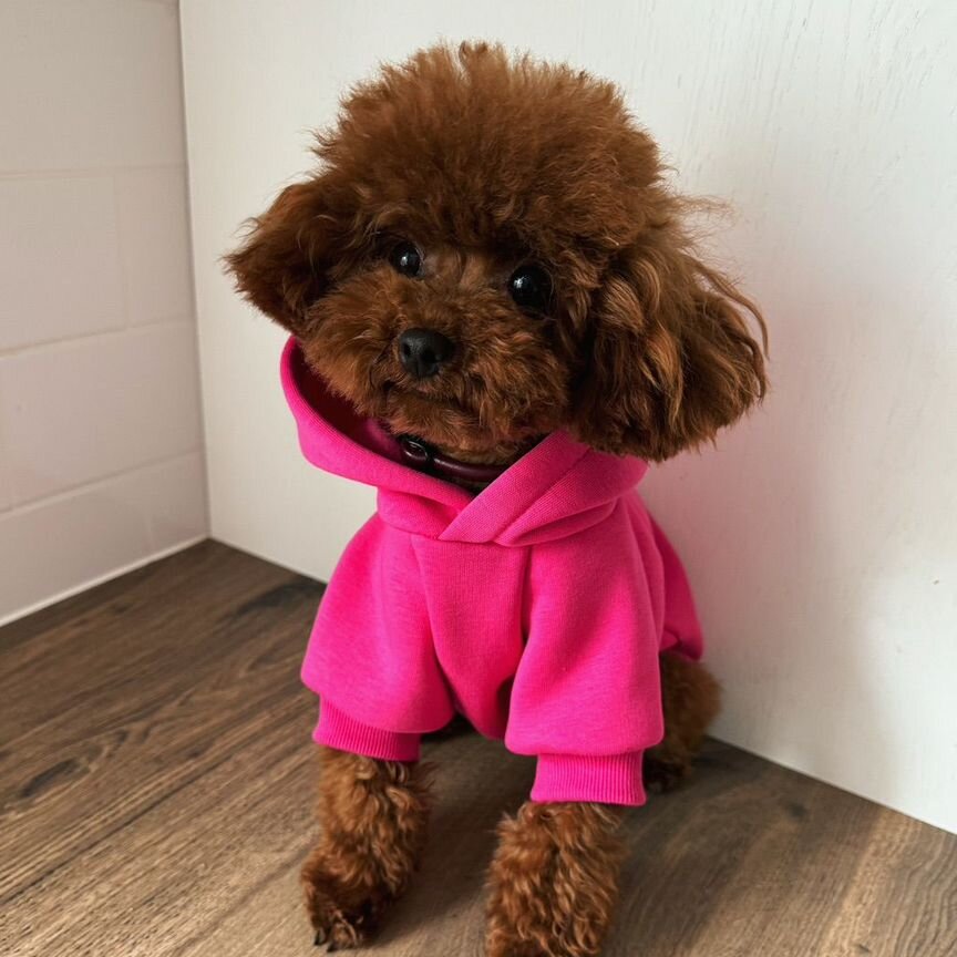 Худи для собак