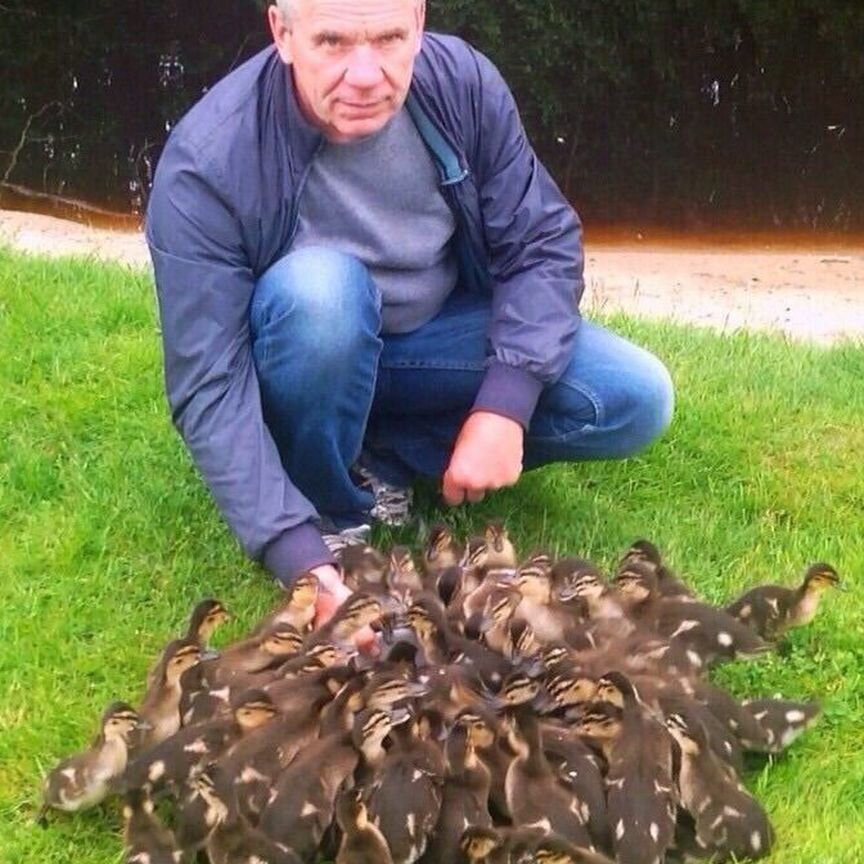 Подсадные утки Усть - Луга