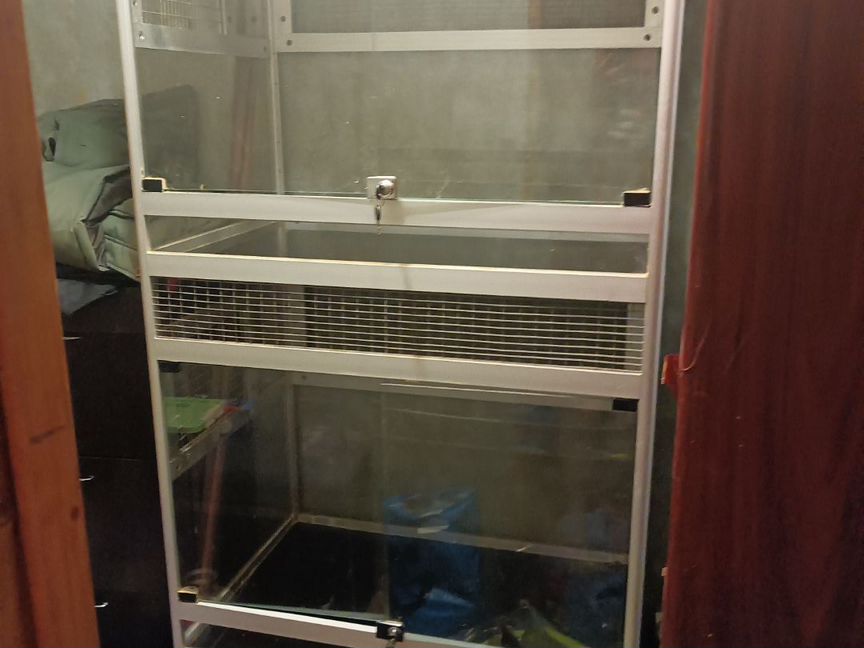 Витрина для питомцев