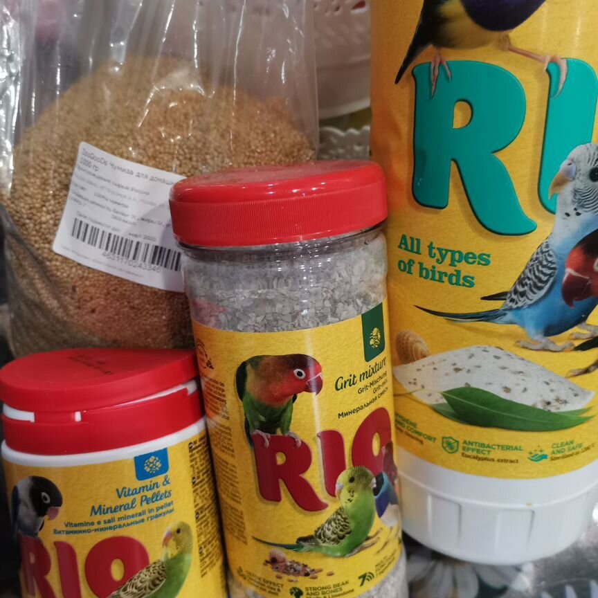 Для волнистого попугая