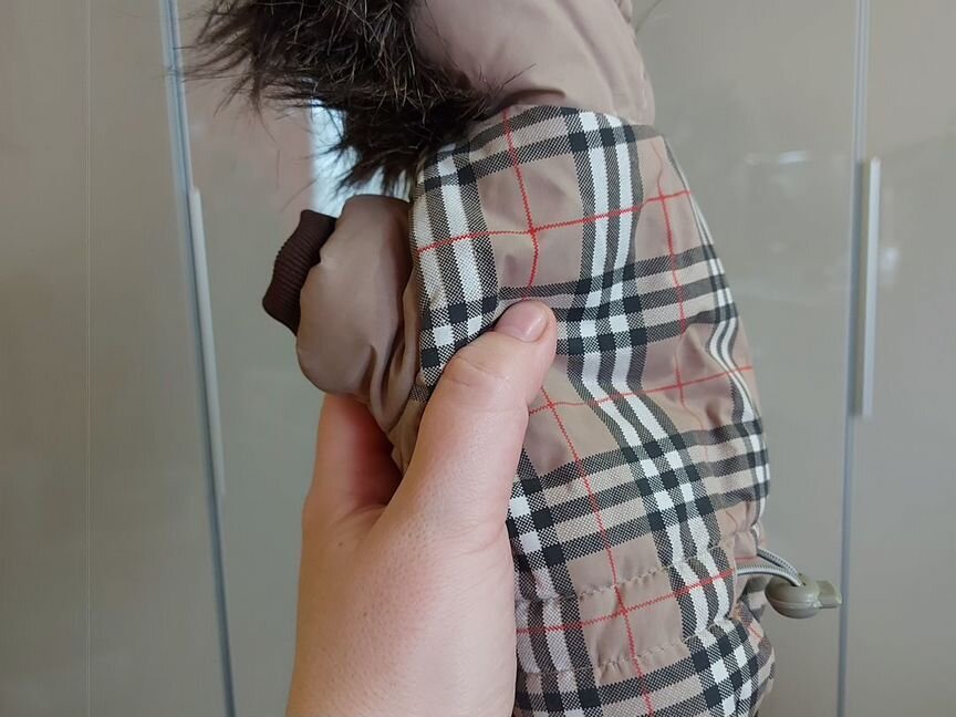 Одежда для чихуахуа девочка(маленький той)