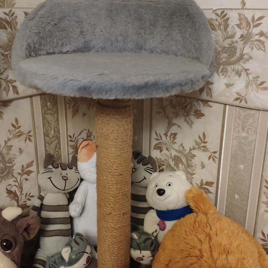 Когтеточка