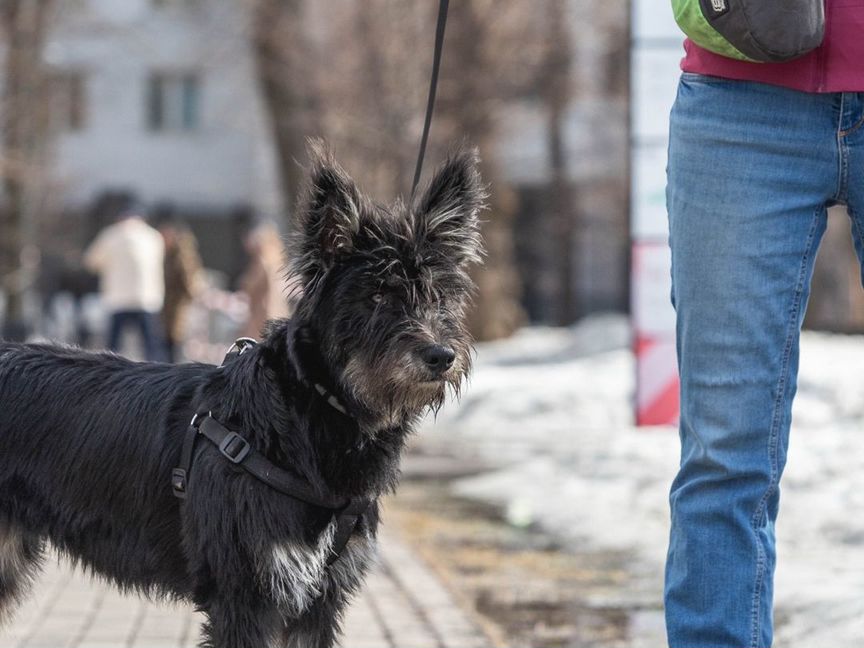 Полная заковыка