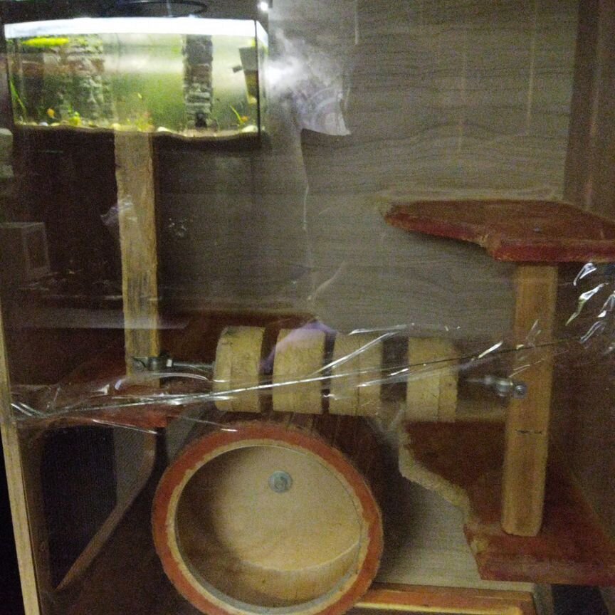 Витрина для шиншилл