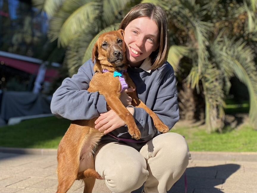 Маленькая собачка в добрые руки