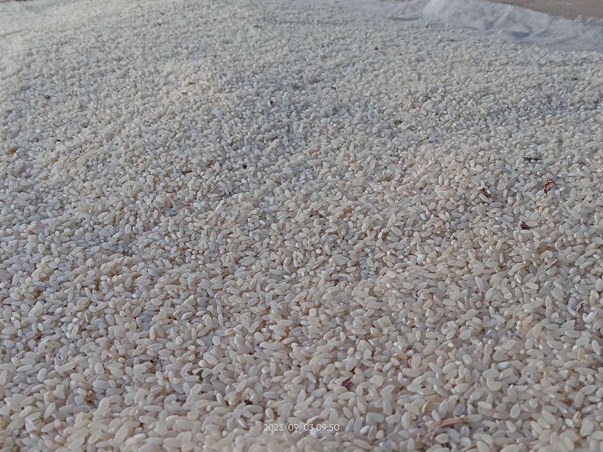 Рис для животных