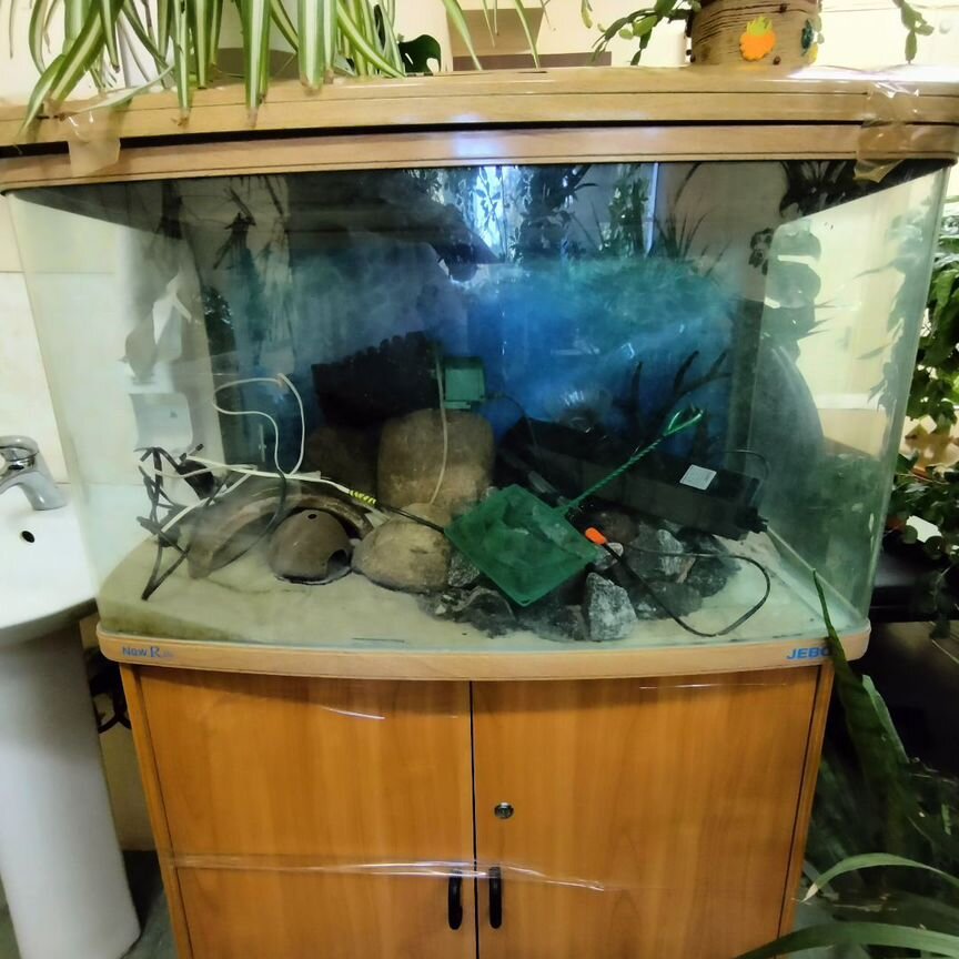 Аквариум на 200 литров