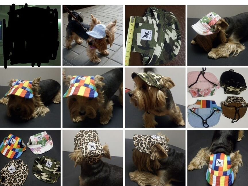 Кепка одежда для собак