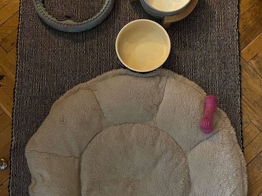 Миски, игрушки для собак, лежанка