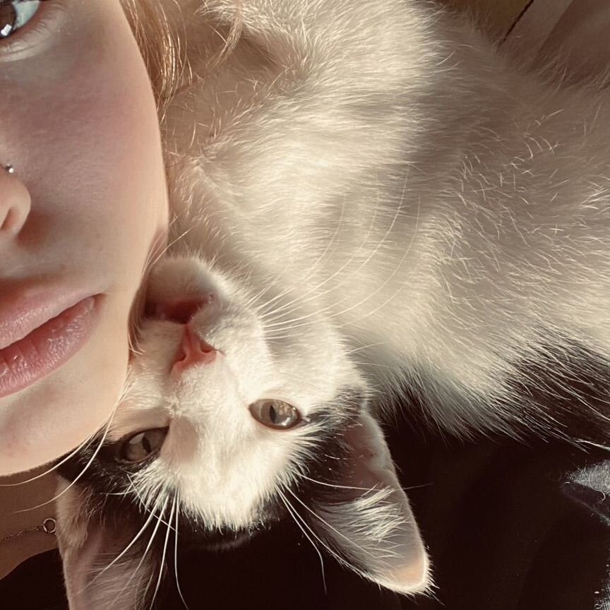 Котеночек
