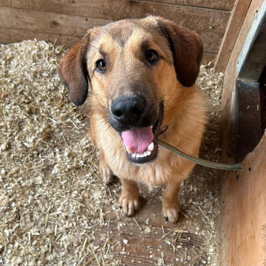 Меня предали