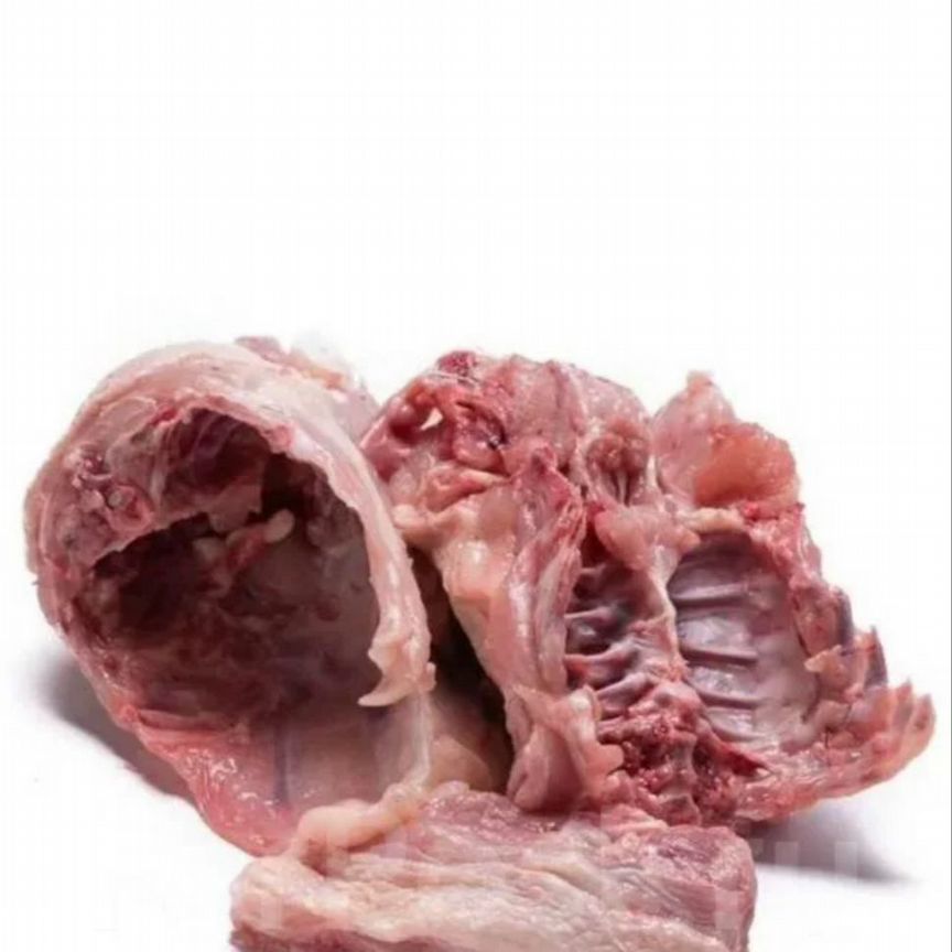 Корм для животных