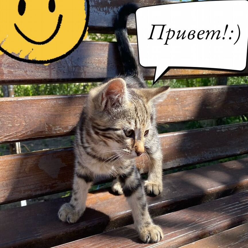 Маленький лучик