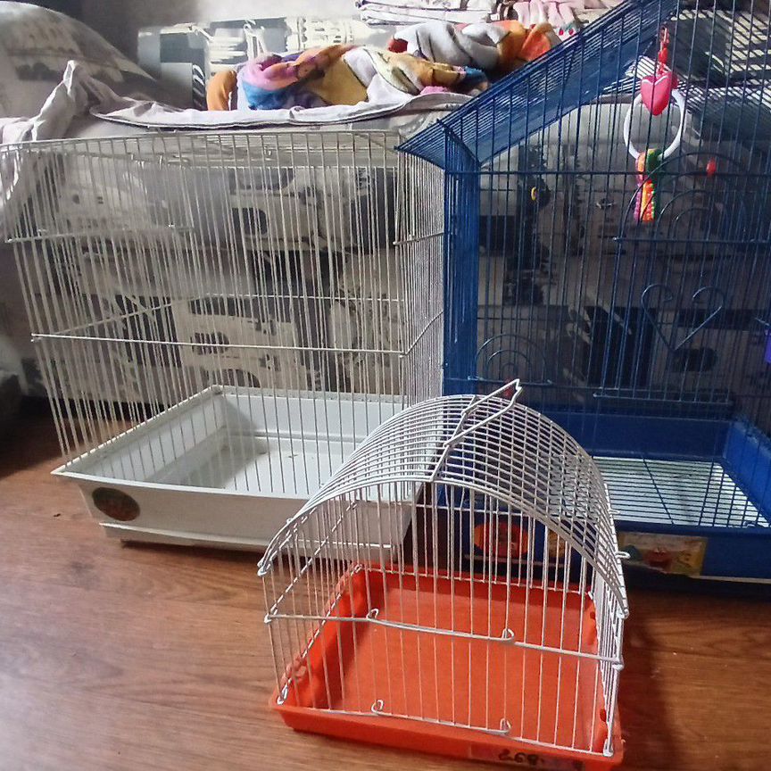 Клетки для грызунов, птиц, поилки, кормушки, гамак