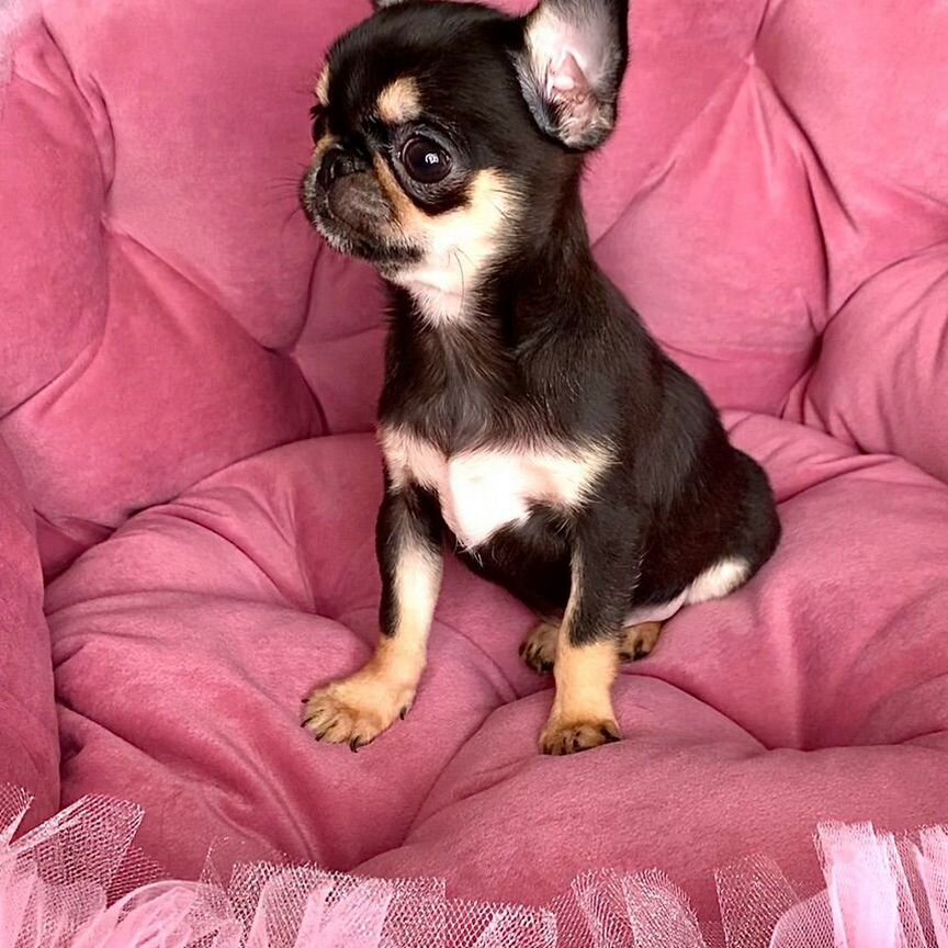 Роскошная мини куколка