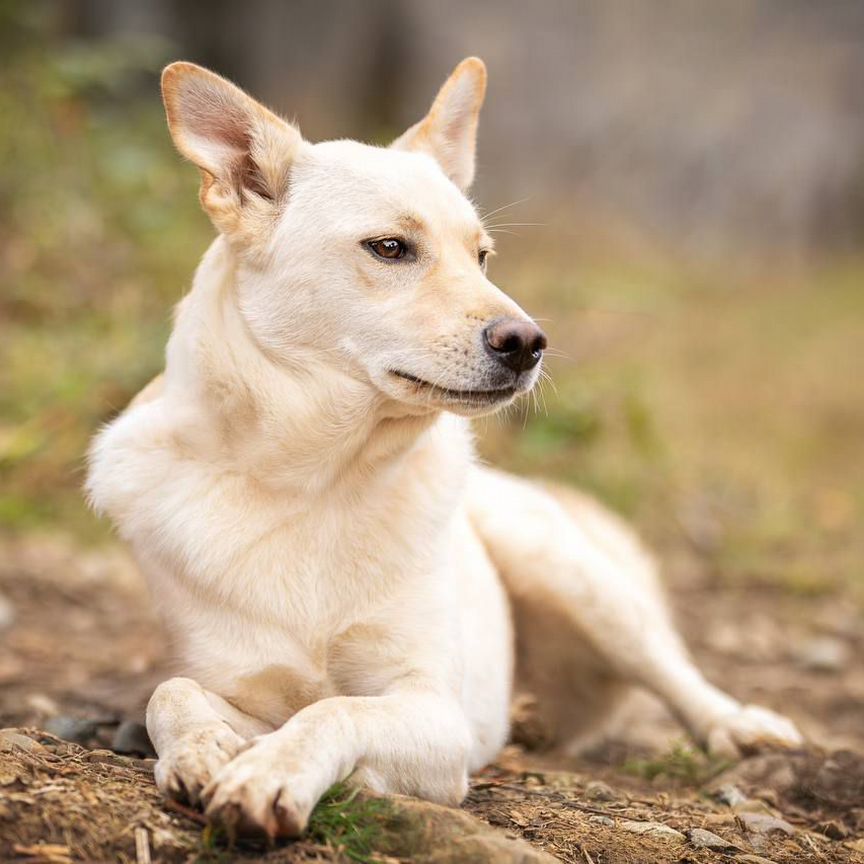 Море в глазах