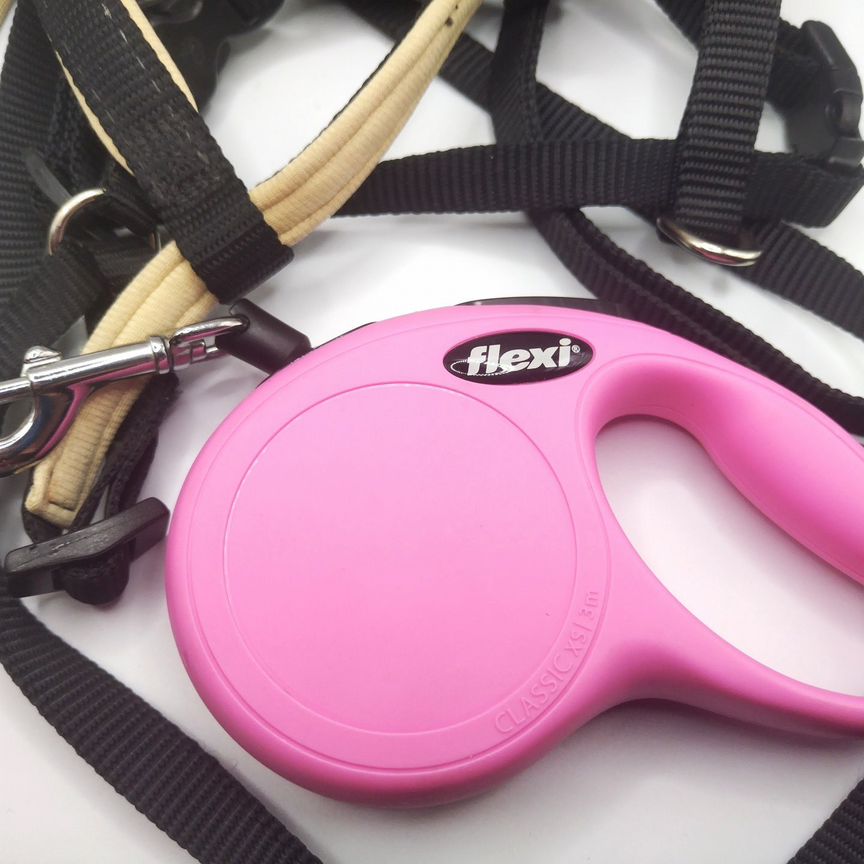 Шлейки и поводки