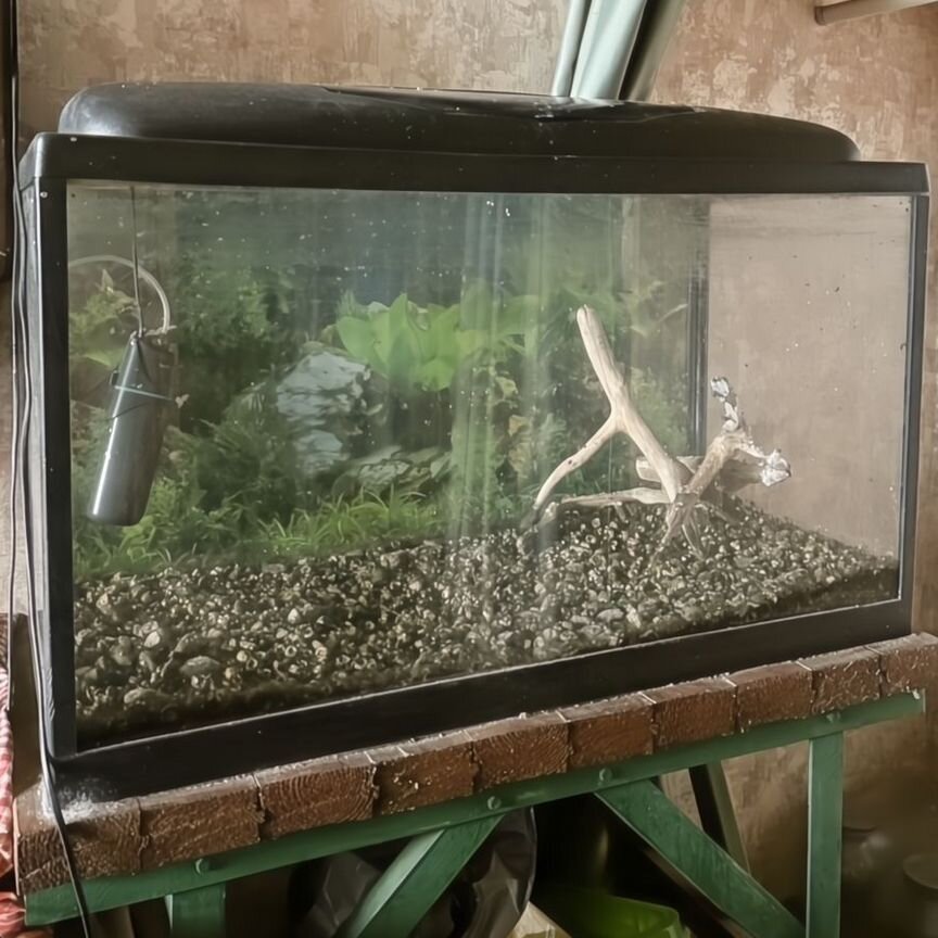 Аквариум для рыбок