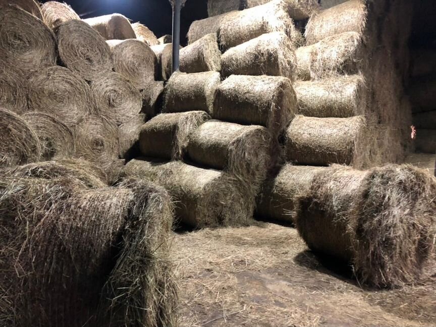 Сено в рулонах