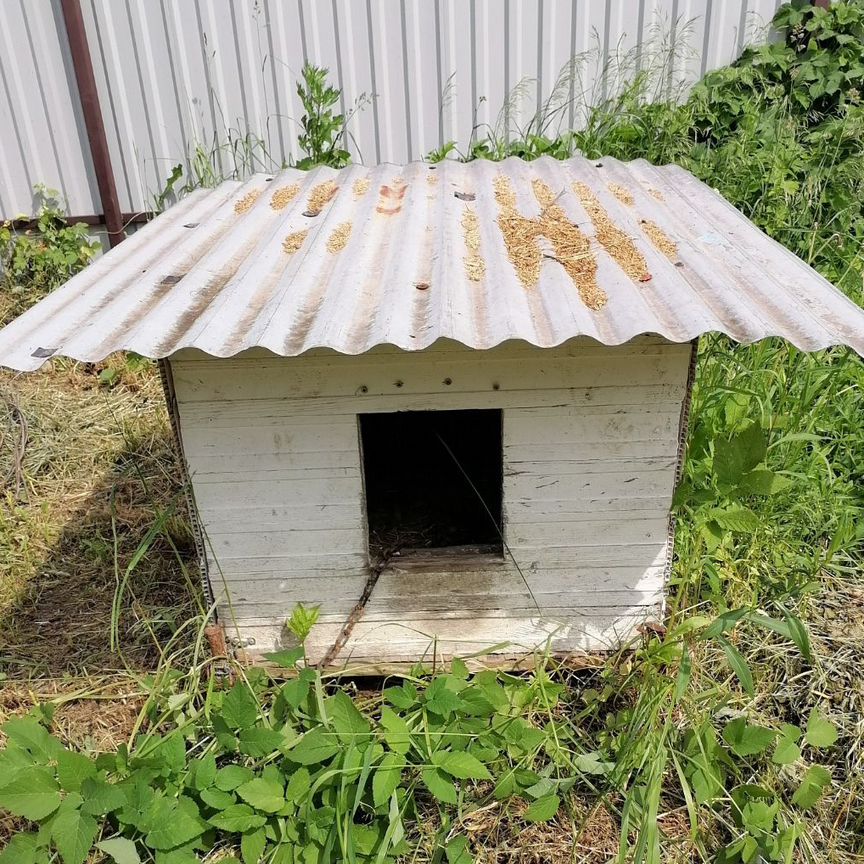 Будка для собаки