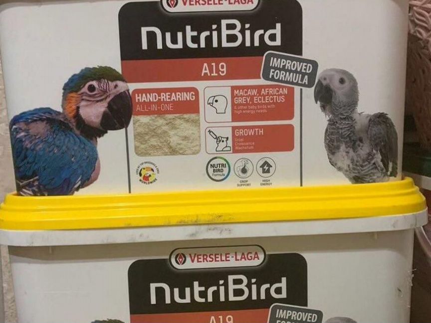 Каша для вскармливания птенцов NutriBird A19-21