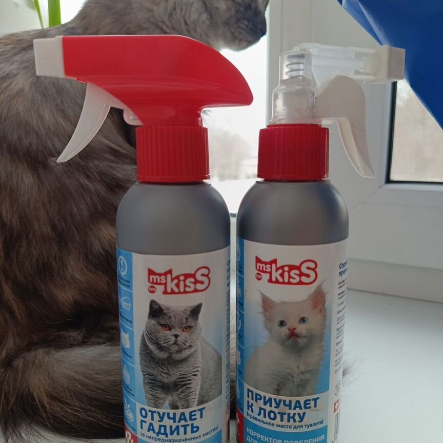 Спрей для приучения к лотку, спрей отучает гадить