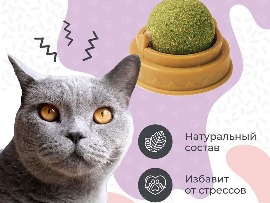 Кошачья мята
