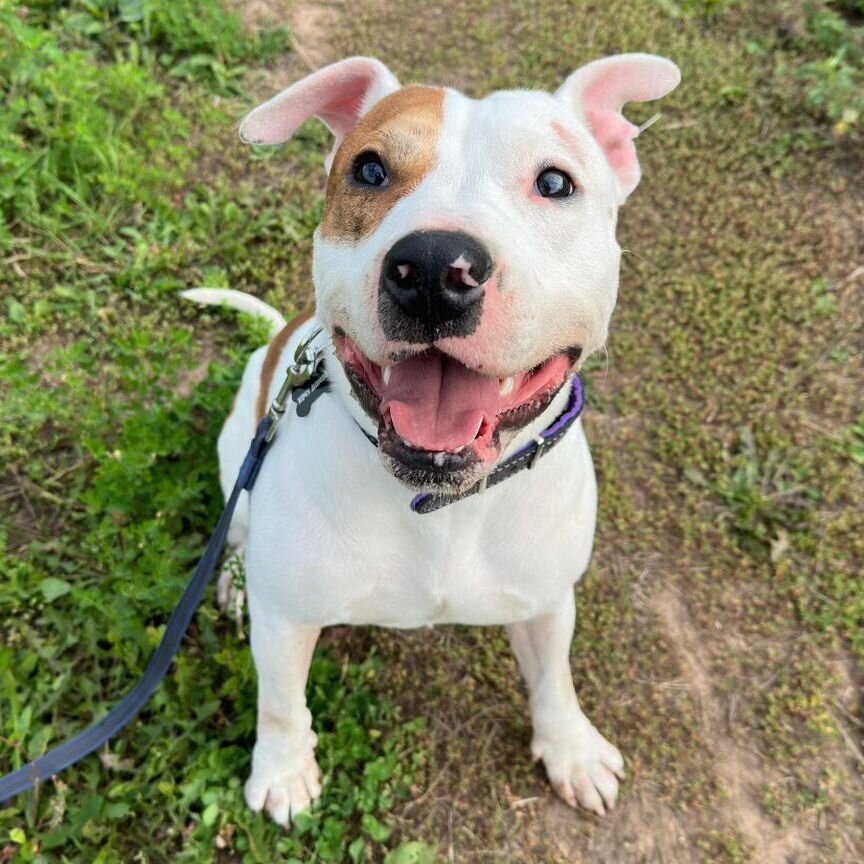 Несколько дней он скитался по улицам