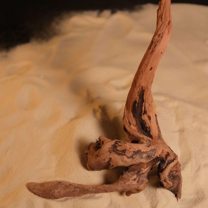 Декор природная коряга Дракон