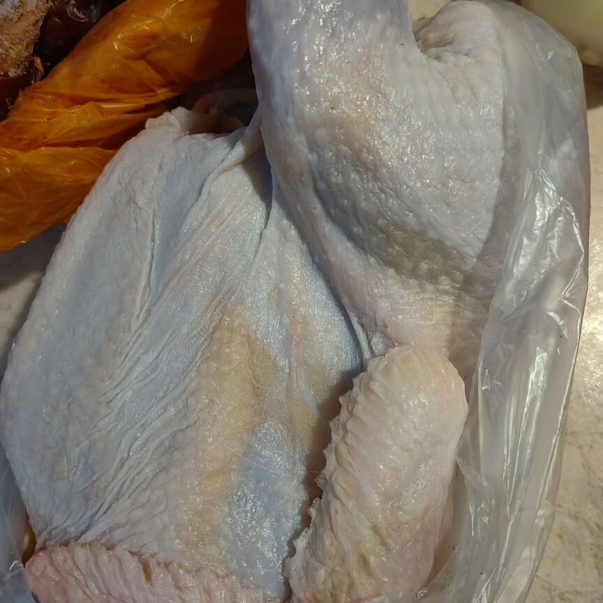 Курица и утка