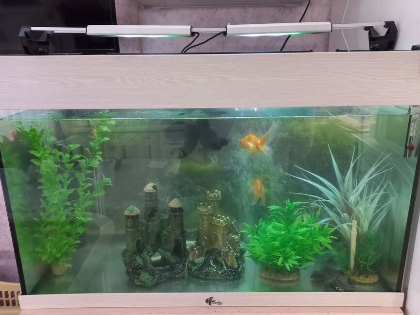 Аквариум Biodesign 80л с оборудованием (комплект)