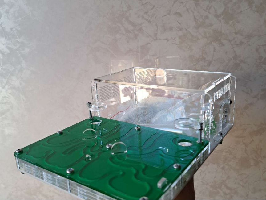 Формикарий муравьиная ферма Муравейкин