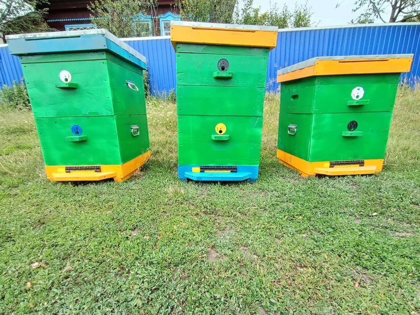 Улей дадан 12