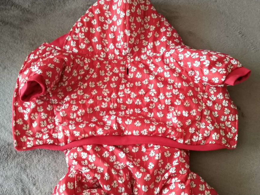 Зимний комбинезон для собаки