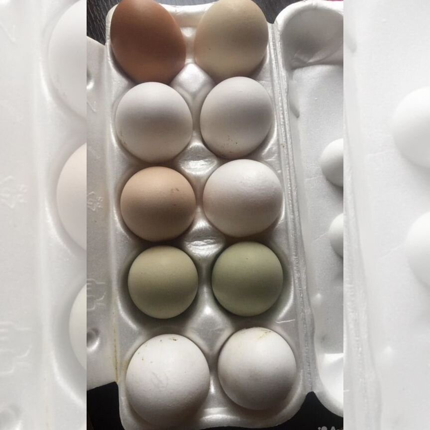 Яйцо домашнее