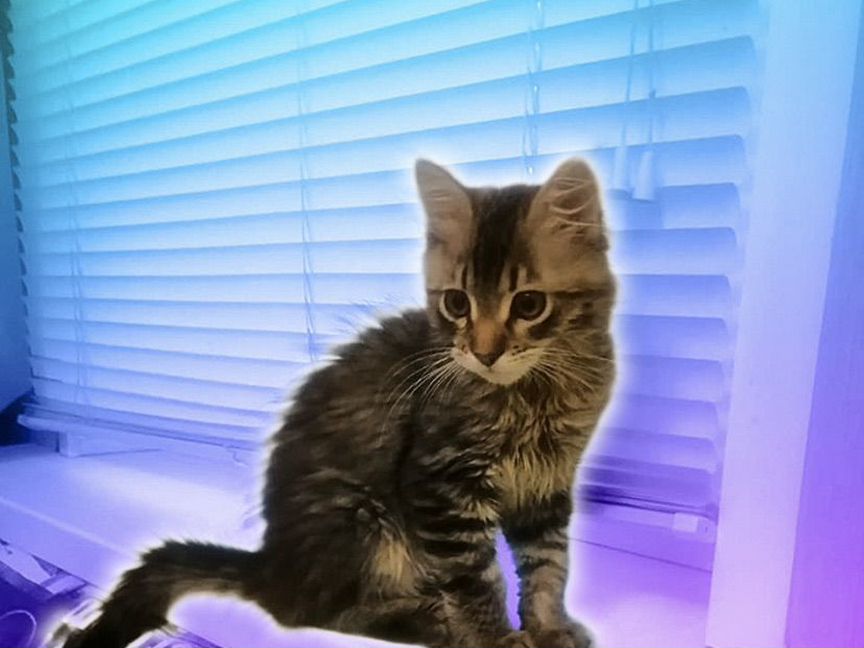 Маленькое чудо ищет своего человека