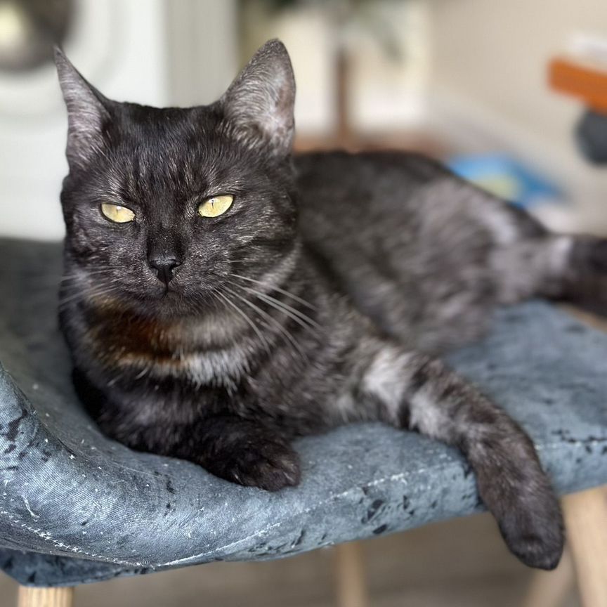 Гаечка в самые надёжные руки