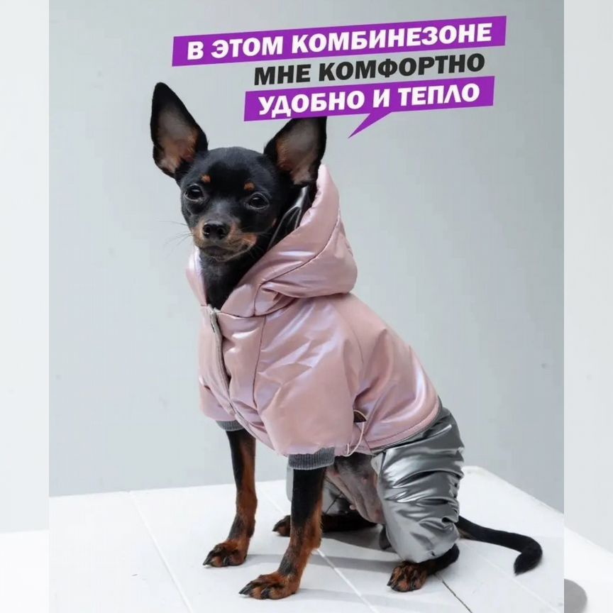 Комбинезон для собак мелких и средних пород