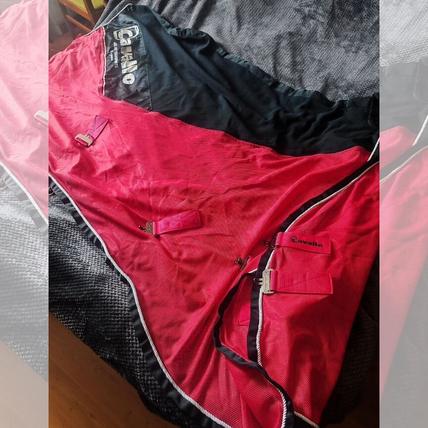 Попона Cavallo - сетка со спиной