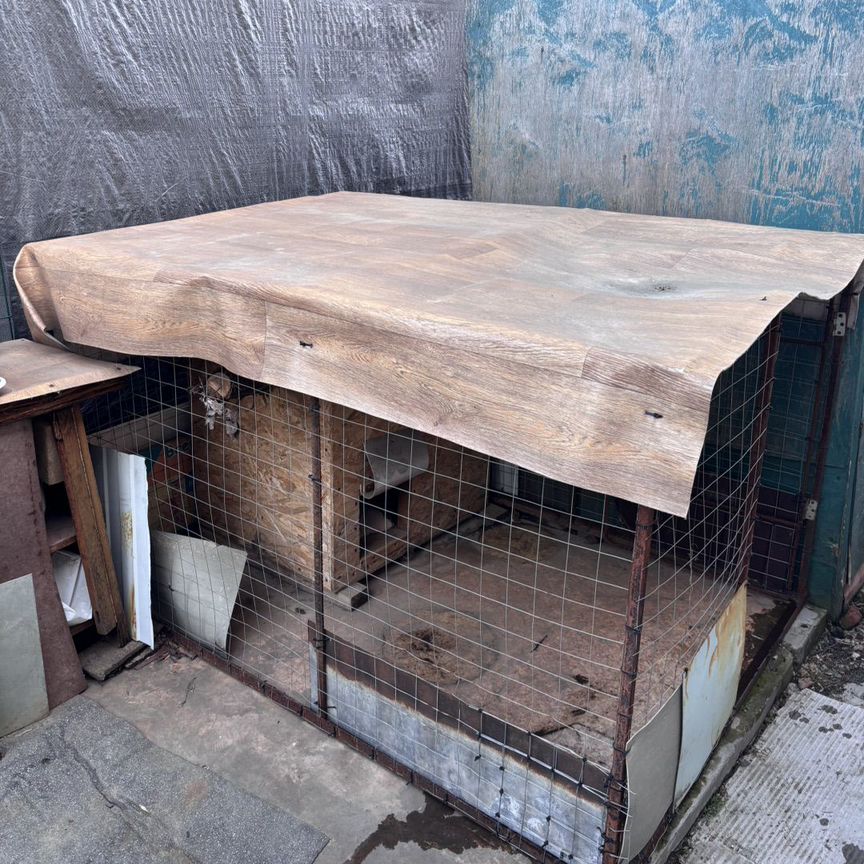 Собачья клетка с будкой