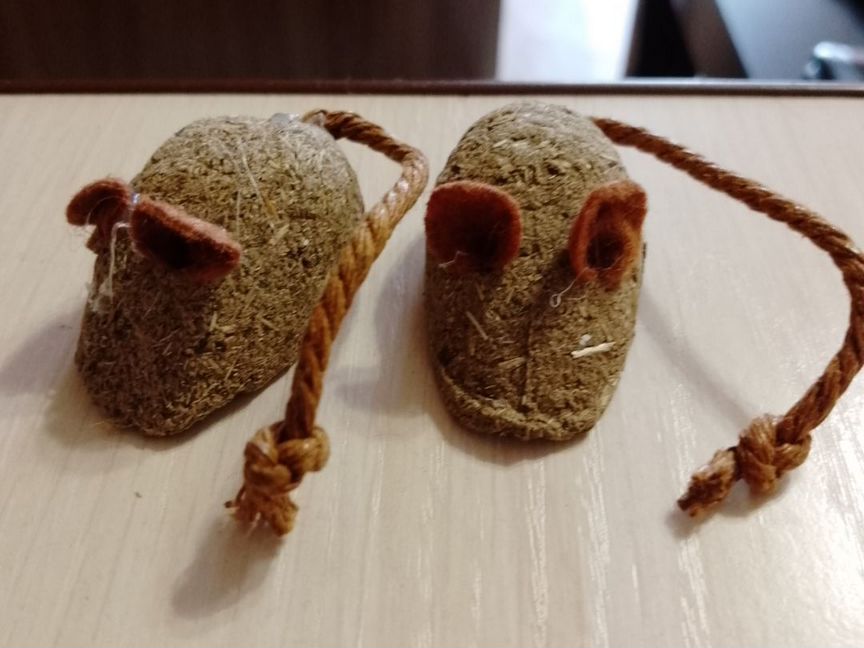 Кошачья мята