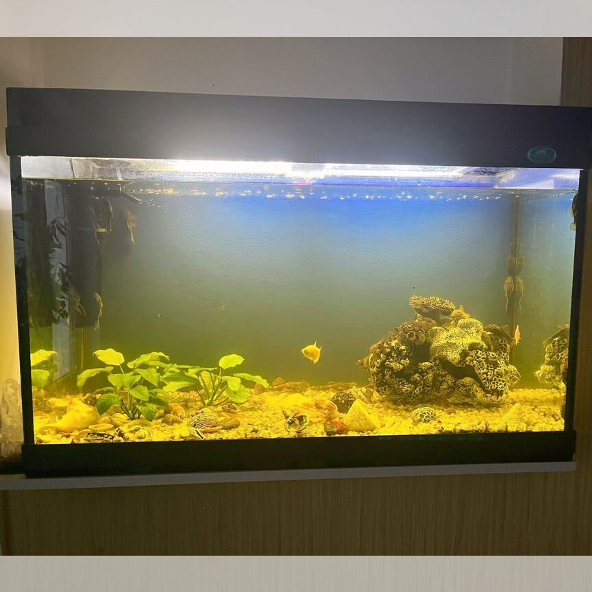 Аквариум