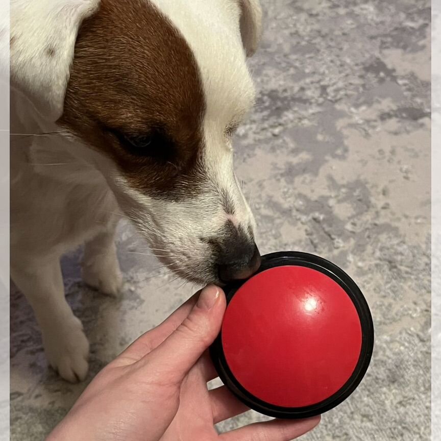 Голосовая кнопка кликер для собак и кошек