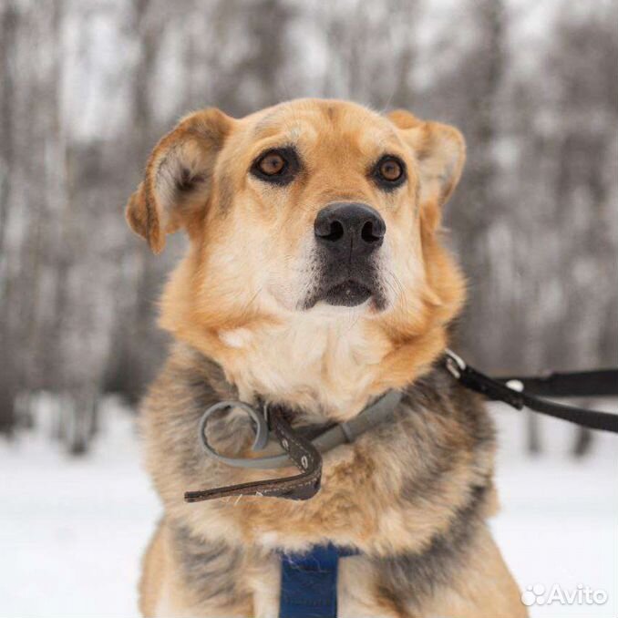 Большая, добрая девочка хочет домой