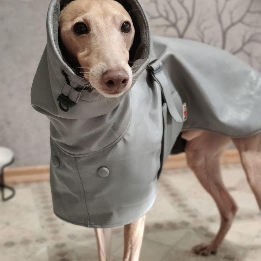 Попона для левретки из экокожи Л- хл 42-44