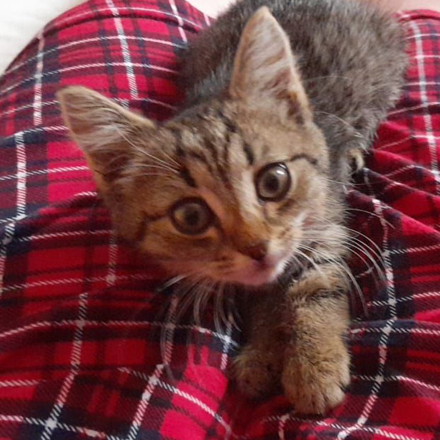 Одам маленький кусочек счастья