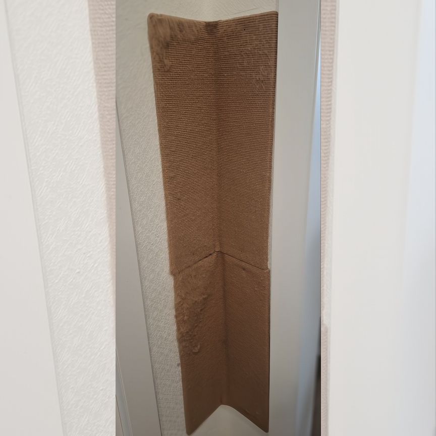 Когтеточка для кошек