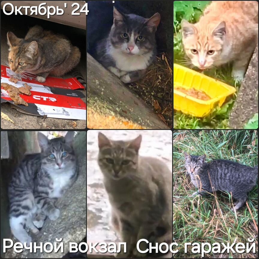 Снос гаражей