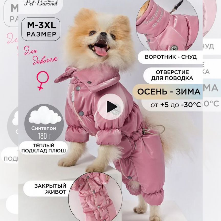 Одежда для собак