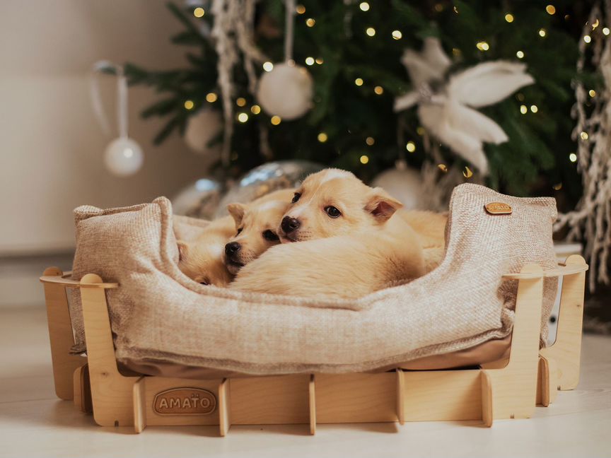 Лежанка для кошек и собак мелких и средних размеро